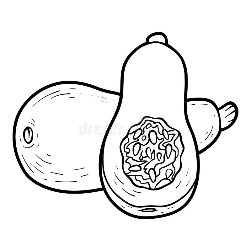 Livre de coloriage, courge illustration de vecteur. Illustration du ...