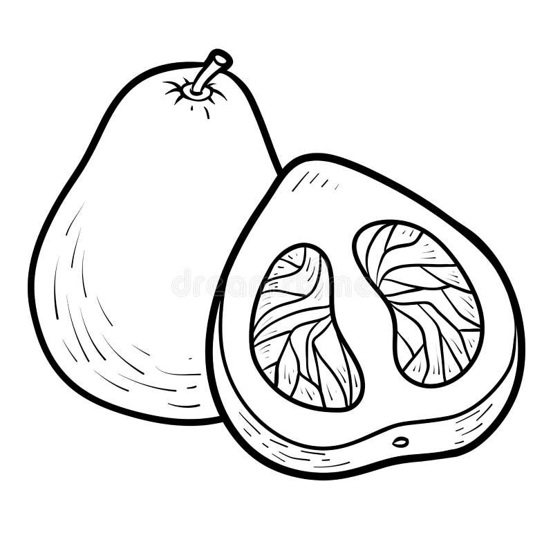 Livre De Coloriage, Pamplemousse Illustration de Vecteur - Illustration ...