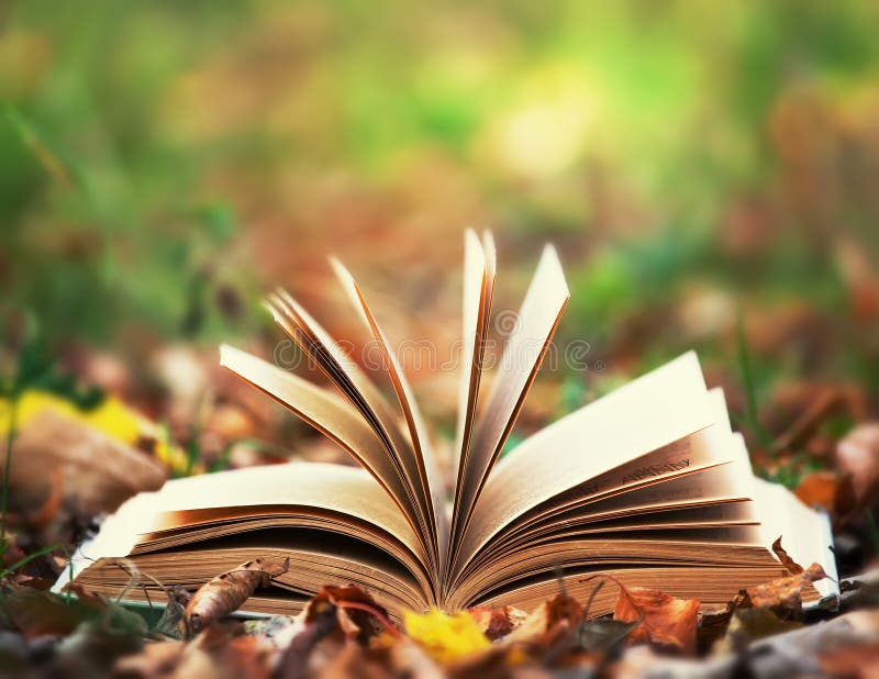 160,811 Livre Ouvert Photos libres de droits et gratuites de Dreamstime