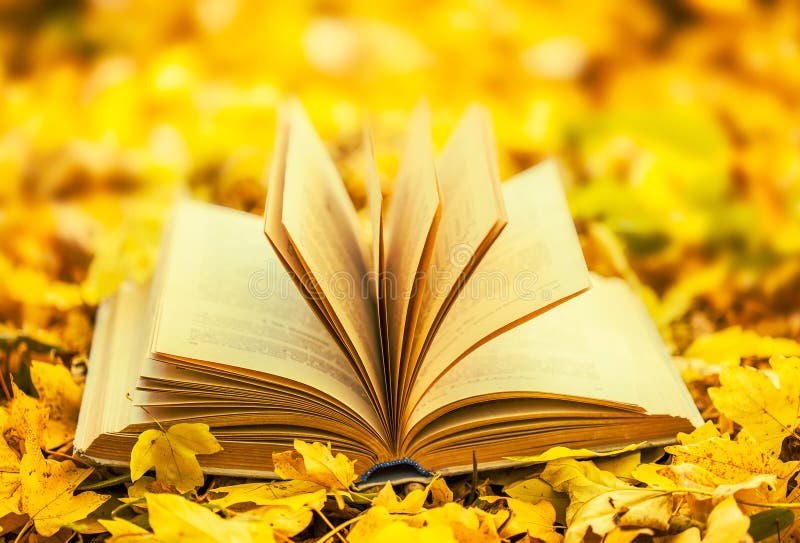 Livro aberto foto de stock. Imagem de leitura, outono - 36611604