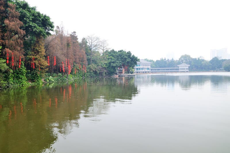 Liwan lake park scenery stock photo. Image of green, shrub - 51971082