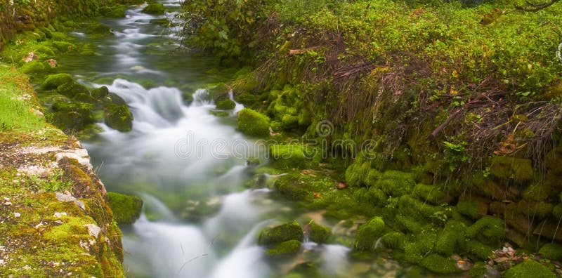 Liz River Spring in Leiria stock photo. Image of exposure - 17231324