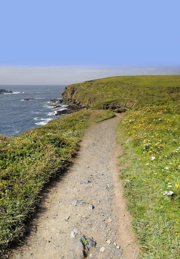 The lizard stock photo. Image of cliff, footpaths, holidays - 2995320
