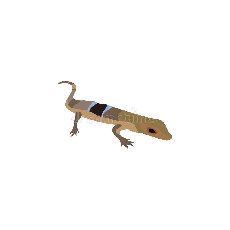 Lizard Animal in Cartoon Style Isolated on White Background. Vector ...