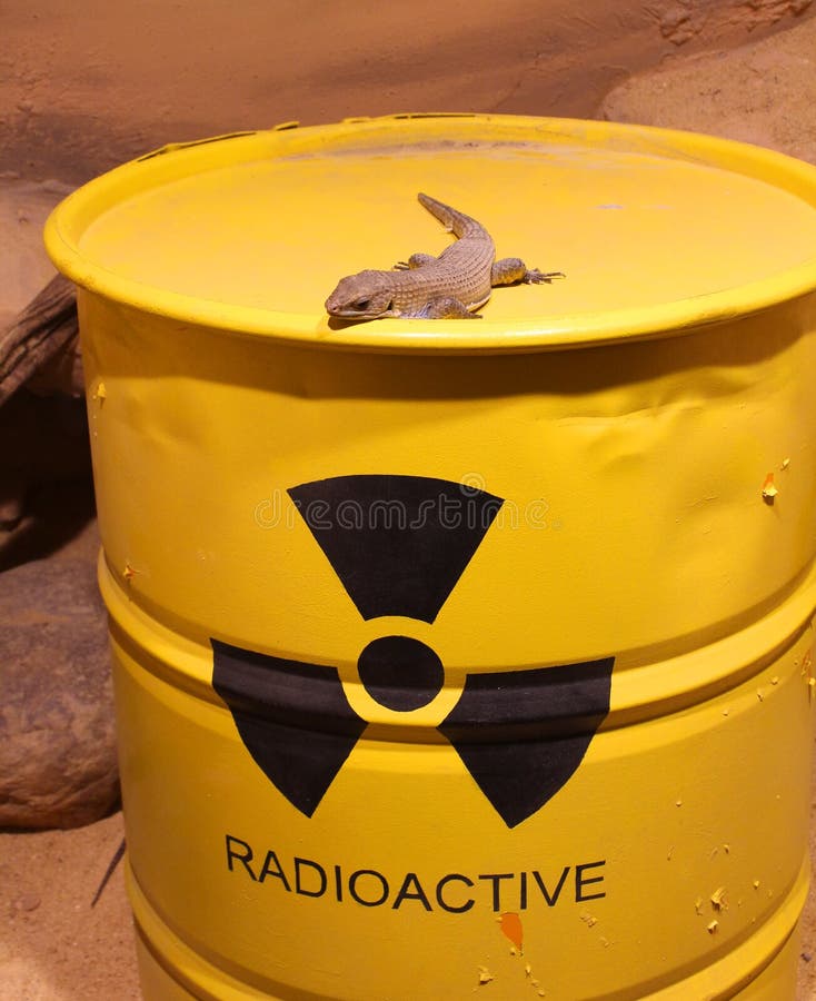 Lizard on a barrel stock image. Image of animal, dump - 45784453