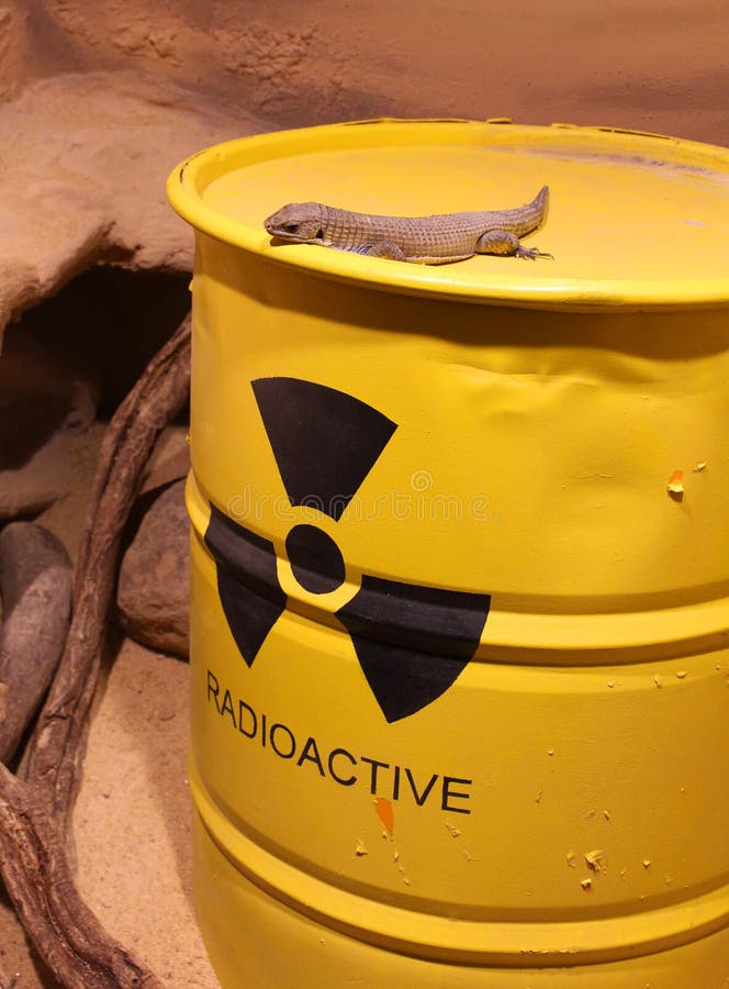 Lizard on a barrel stock image. Image of dump, fuel, radium - 45784545