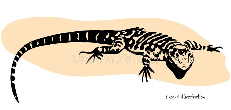 Shadow Monster Lizard Stock Illustrations – 393 Shadow Monster Lizard ...