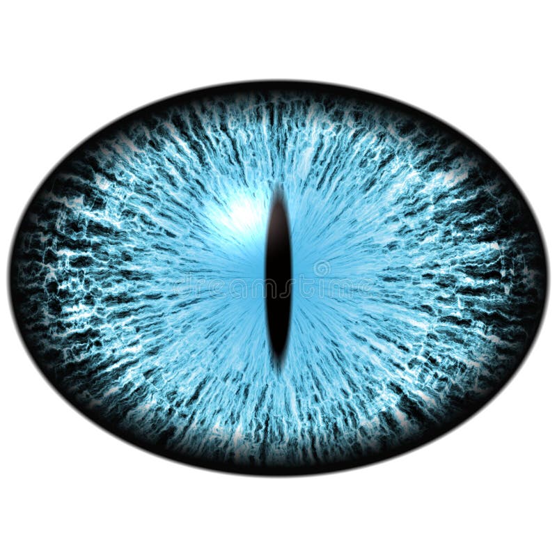 Lizard Blue Eye. Isolated Blue Eye. Big Elliptic Pupil Looking at Stock ...