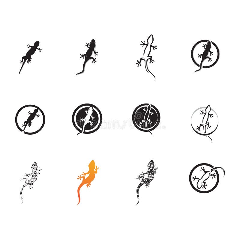 Vector Hand Drawn Doodle Sketch Gecko Lizard Isolated on White ...