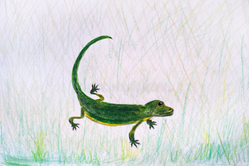 Drawing of a lizard stock illustration. Illustration of artist - 19932701