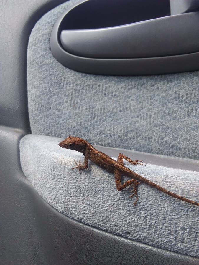 Singapore Reckless Drivers part Xv - Page 266 - General Car Discussion ...