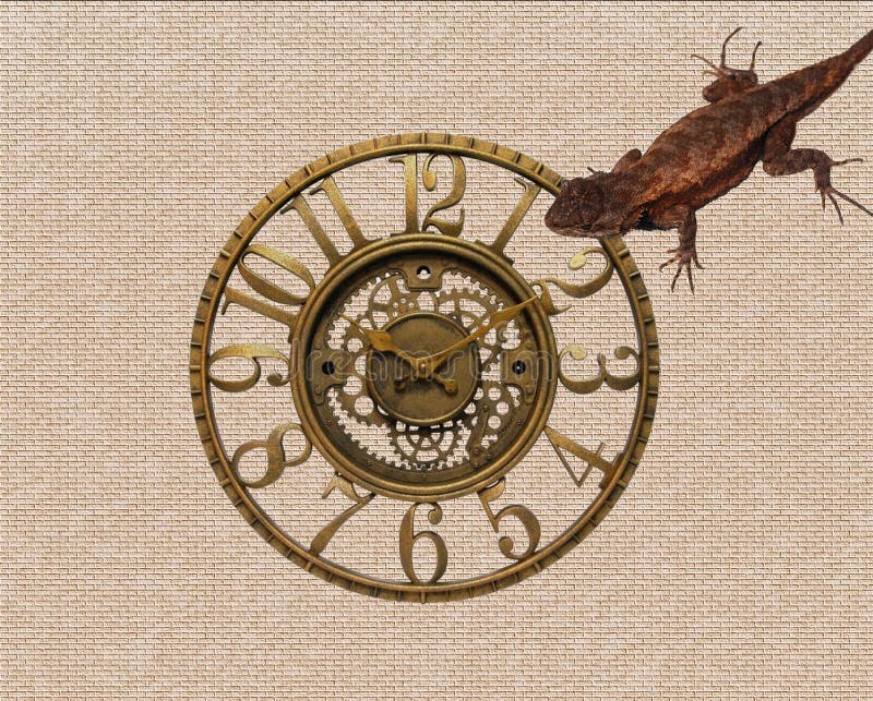 Lizard and clock stock photo. Image of background, pattern - 39351704