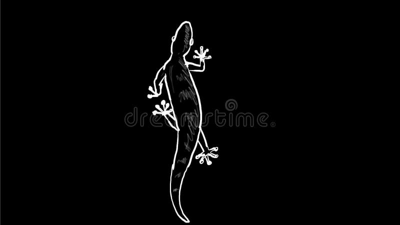 Lizard Crawling Drawing 2D Animation Stock Video - Video of ball ...
