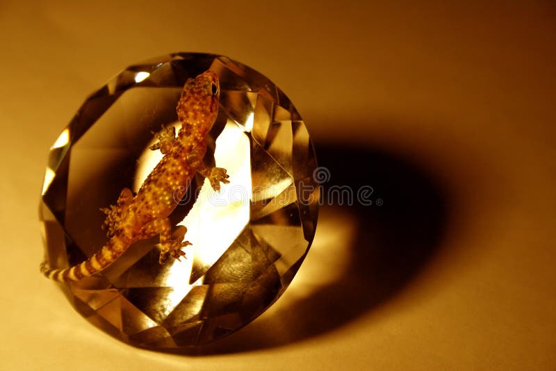 Lizard on diamond stock photo. Image of backgrounds, isolated - 2731718