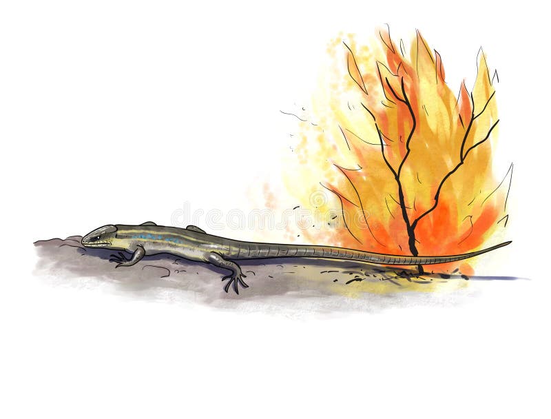 Lizard fire danger stock illustration. Illustration of lizard - 48493733