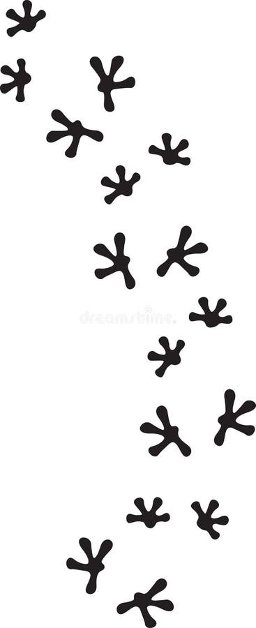 Lizard Footprints Black and White Vector Stock Vector - Illustration of ...