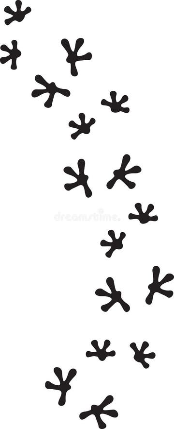 Gecko Footprints Stock Illustrations – 122 Gecko Footprints Stock ...