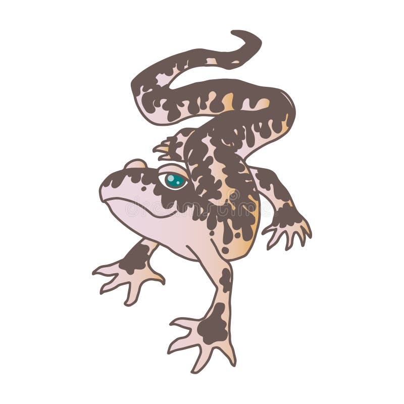 Baby Gecko Drawing Stock Illustrations – 265 Baby Gecko Drawing Stock ...
