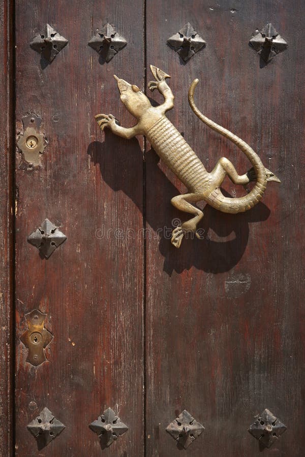 Lizard Golden Door Knob in a Rustic Gate Stock Photo - Image of ...