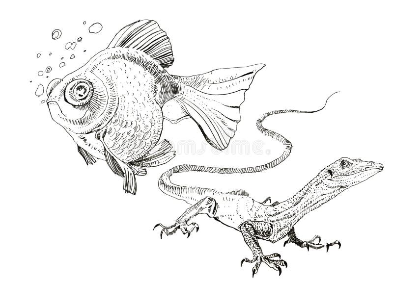 Lizard Hand-drawn Illustration in Sketch Style Stock Illustration ...