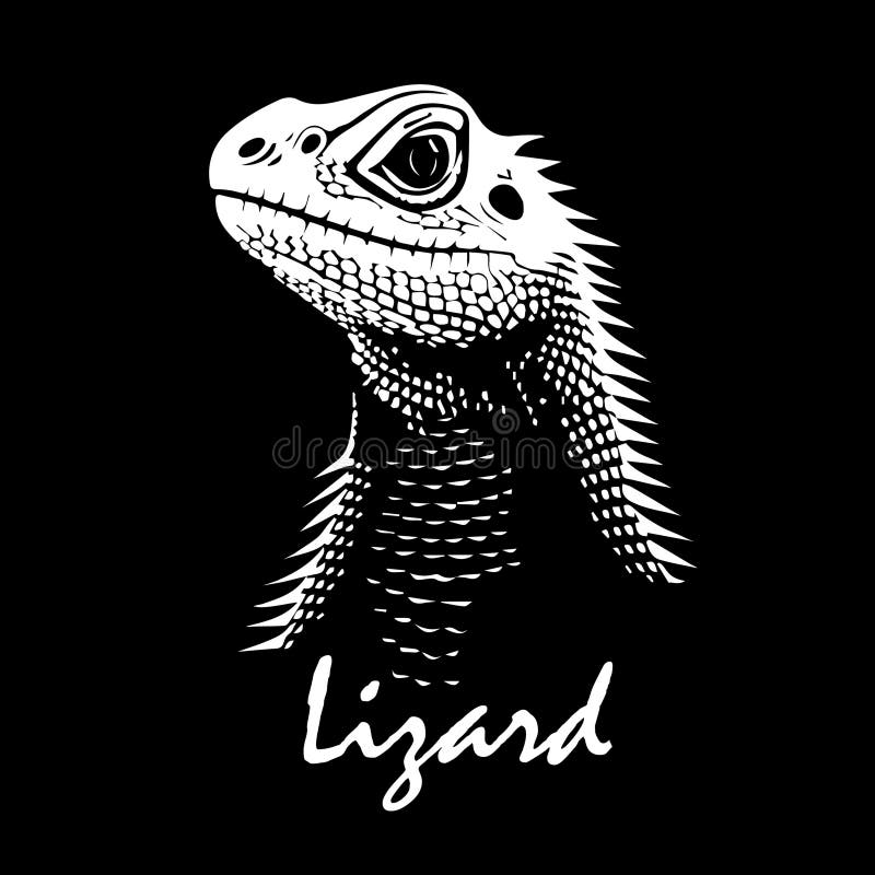 Lizard Head Stock Illustrations – 16,617 Lizard Head Stock ...