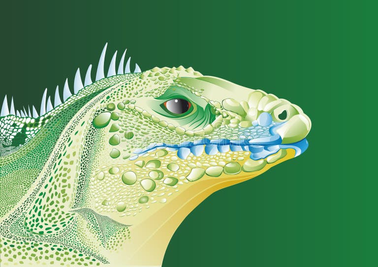 Lizard Head Stock Illustrations – 16,617 Lizard Head Stock ...