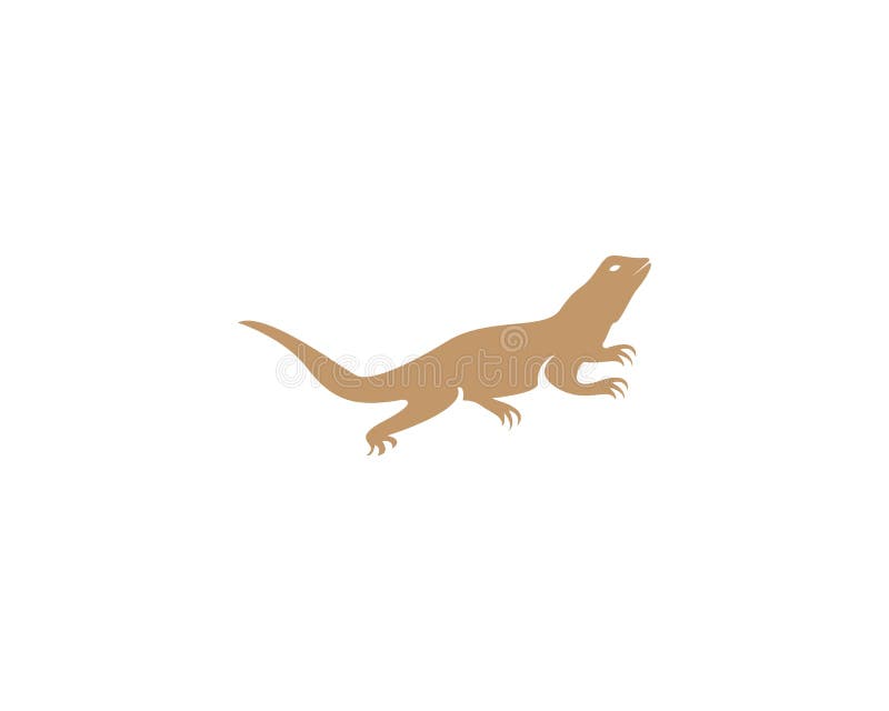 Lizard Icon Vector Illustration Stock Vector - Illustration of animal ...