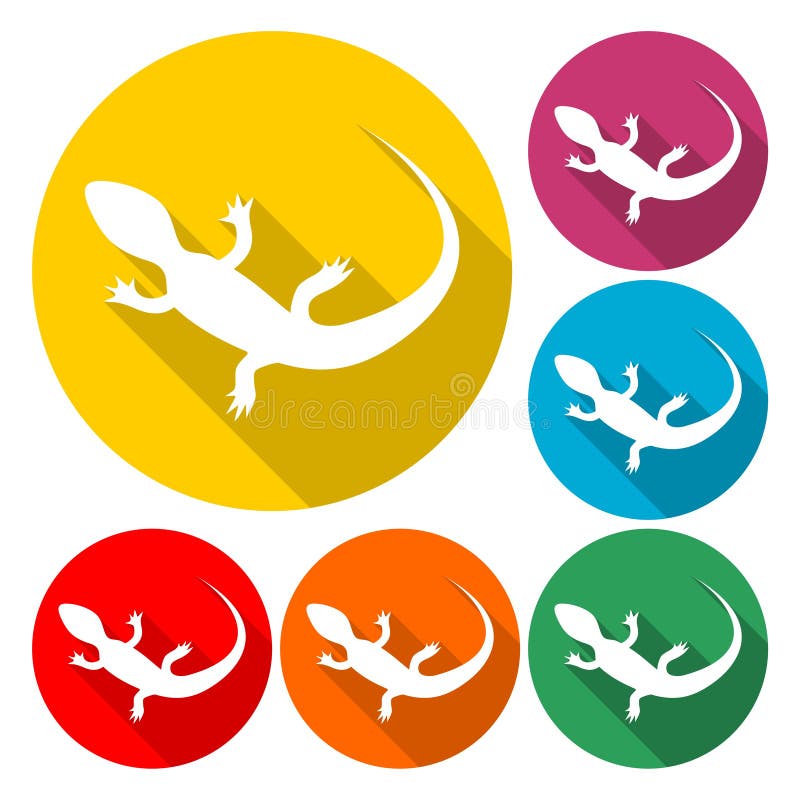 Lizard Icon Vector - Illustration Stock Vector - Illustration of ...
