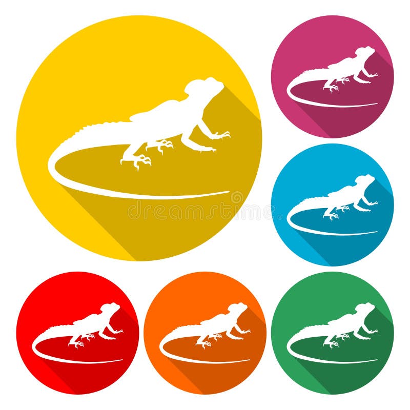 Lizard Icon Vector - Illustration Stock Vector - Illustration of ...
