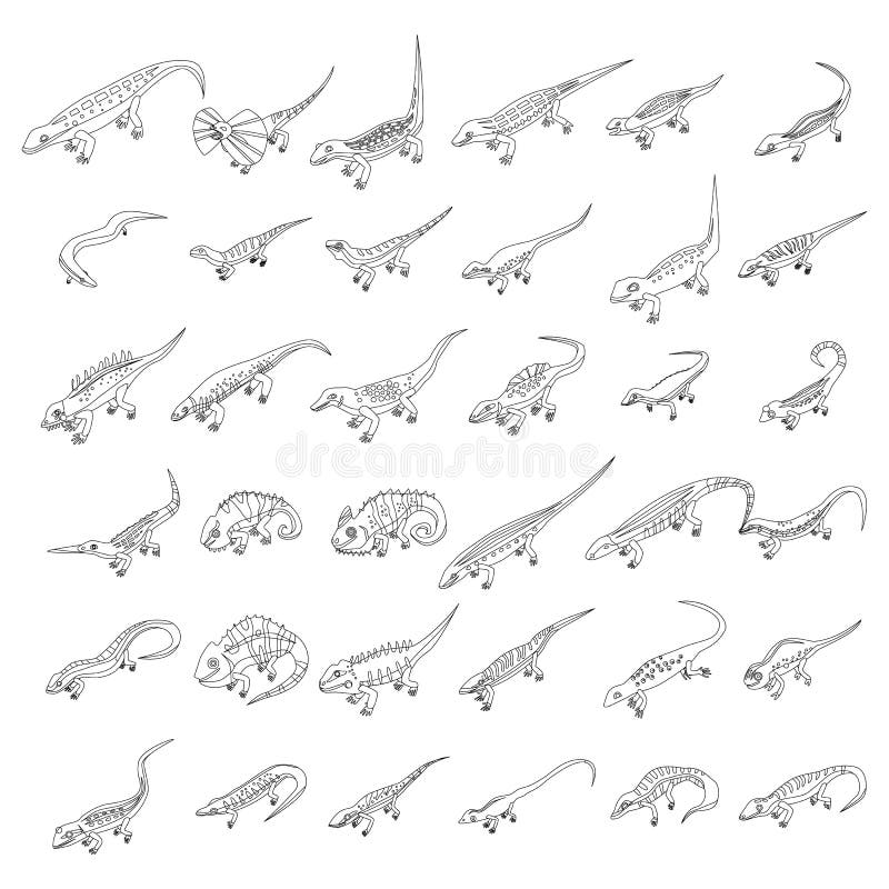 Newt Line Drawing Stock Illustrations – 89 Newt Line Drawing Stock ...