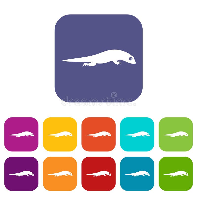 Lizard icons set stock vector. Illustration of nature - 96296745