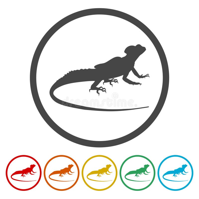 Lizard Icons Set Vector - Illustration Stock Vector - Illustration of ...