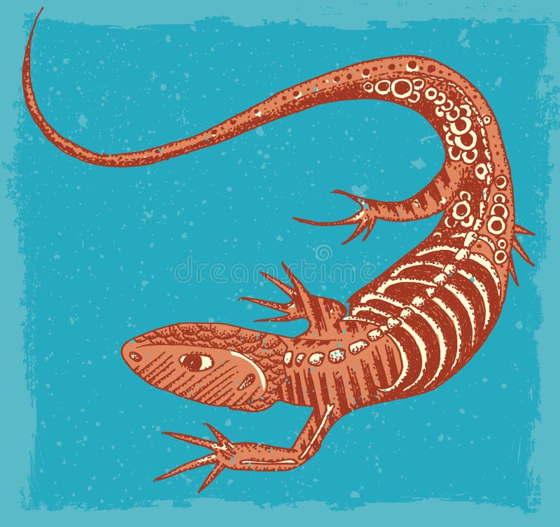 Lizard skeleton 2 stock illustration. Illustration of bone - 1024804