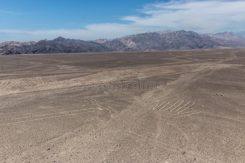 The Lizard Image of Nazca Lines, Pe Stock Photo - Image of ancient ...