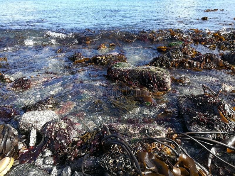 Lizard peninsula stock photo. Image of waves, view, coast - 87382970