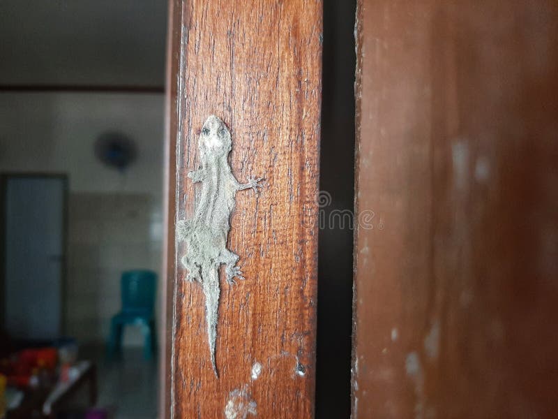 The Lizard is Set in the Gap in the Door of the House Stock Photo ...