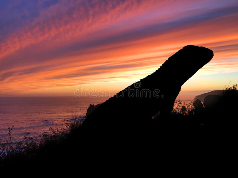 Lizard Silhouette Sunset stock image. Image of oregon - 85448725