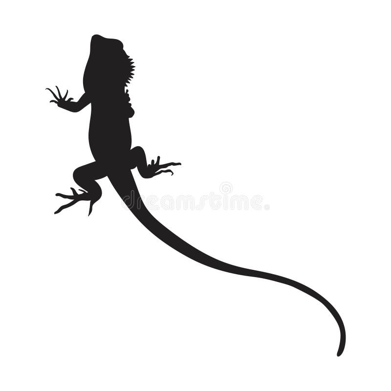 Lizard Silhouette stock vector. Illustration of ancient - 311335858