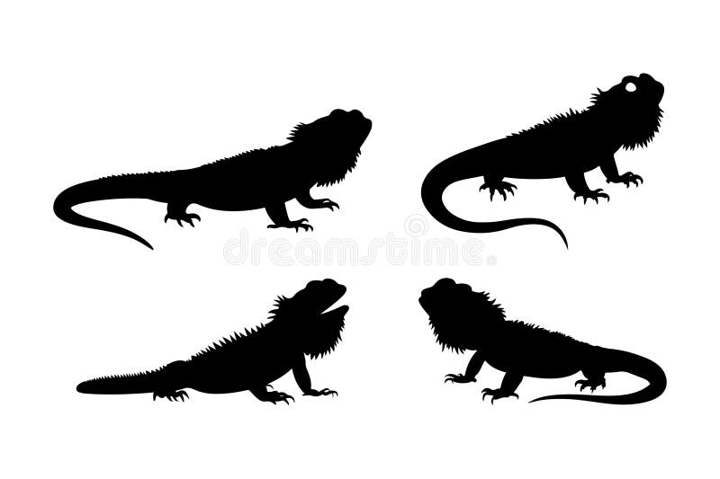 Lizard Silhouette Vector Set for Animal Graphics and Art Stock ...