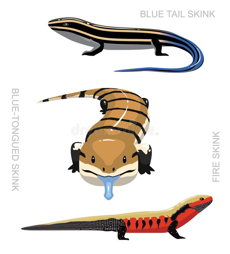Lizard Skink Set Cartoon Vector Illustration Stock Vector ...