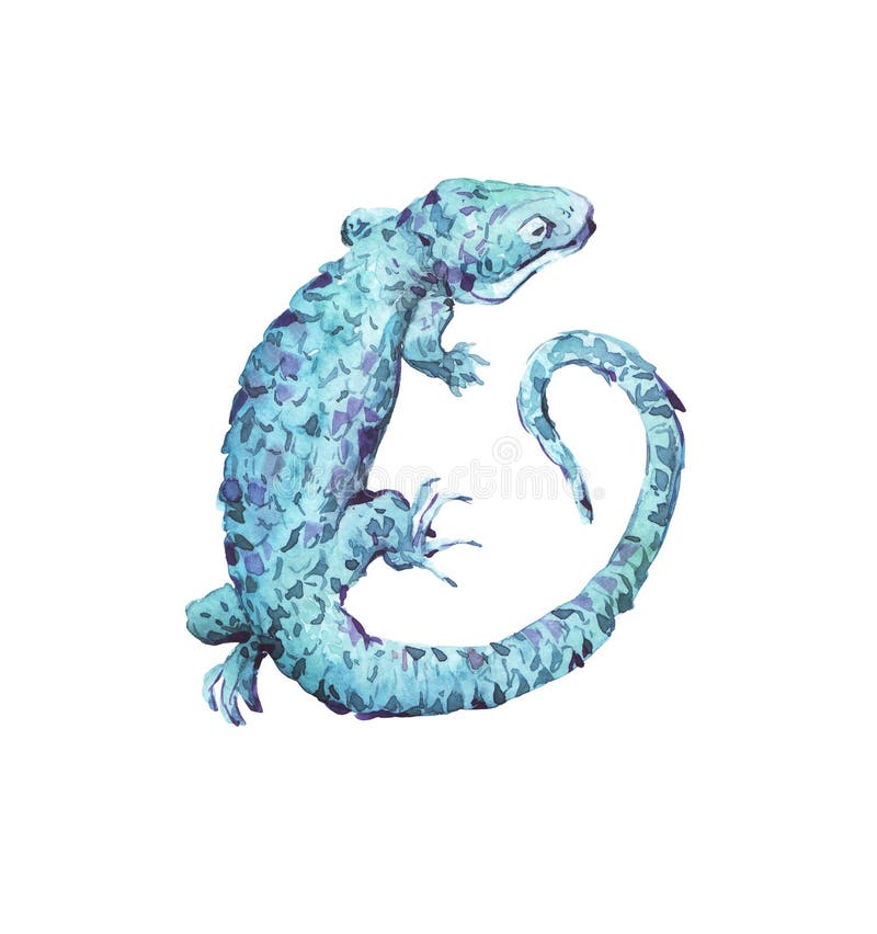 Lizard Watercolor Illustration Hand Painted Stock Illustration ...