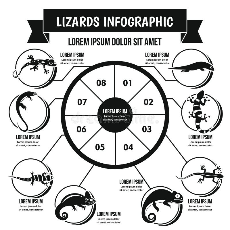 Lizards Infographic Concept, Simple Style Stock Vector - Illustration ...