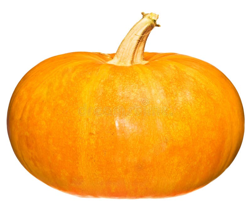 Ljus pumpa fotografering för bildbyråer. Bild av orange - 3309655