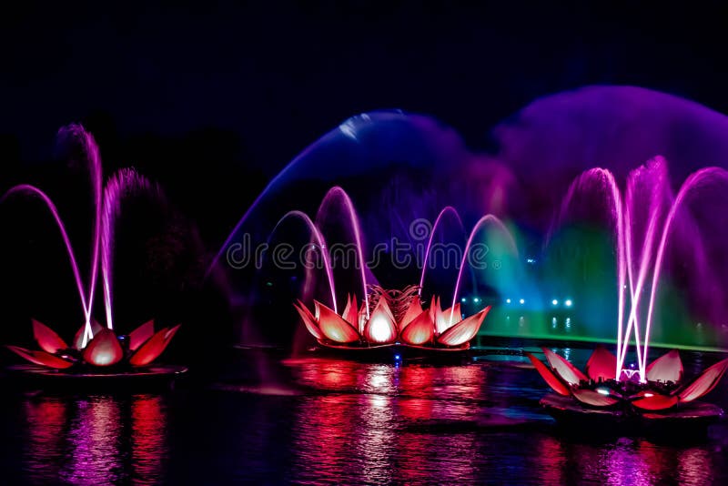 Ljusbildens Floder I Djurkungariket 123 Redaktionell Foto - Bild av ...