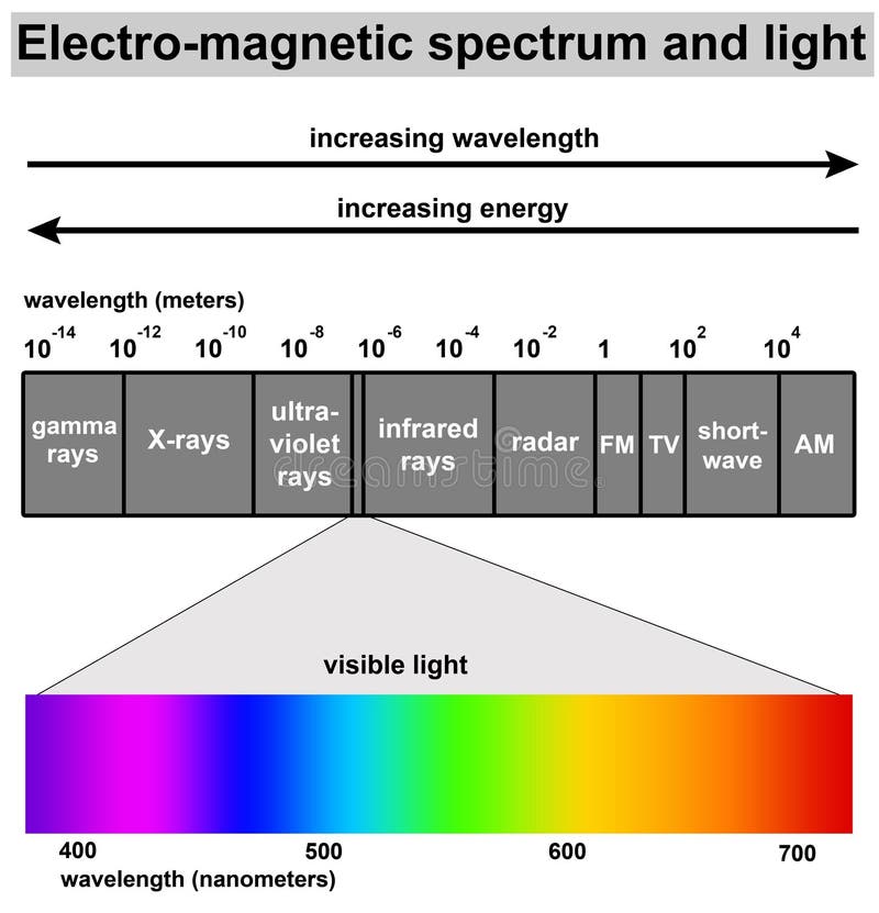 Vektordiagrammet För Det Elektromagnetiska Spektrumet Vektor ...