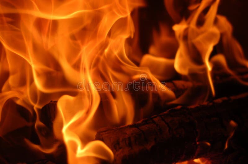 Llama #2 imagen de archivo. Imagen de encienda, departamento - 1476641