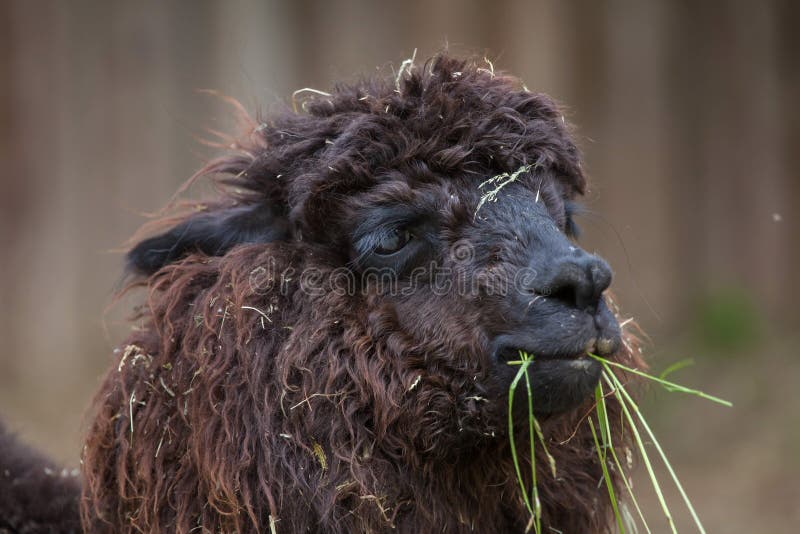 Unique garden house stock photo. Image of houses, interesting - 27057528