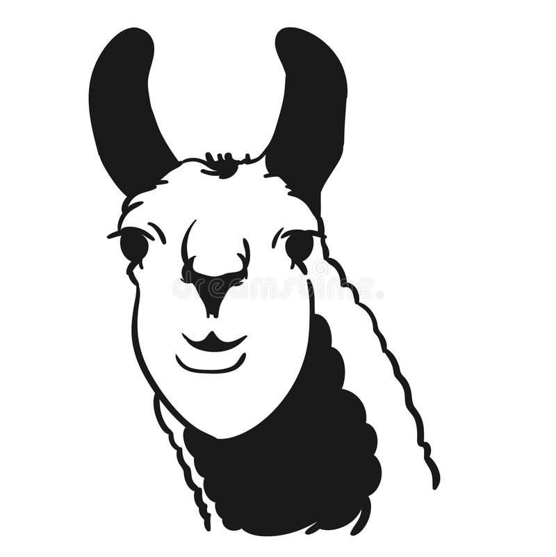 Llama Vector Eps Hand Drawn, Vector, Eps, Logo, Icon, Silhouette ...
