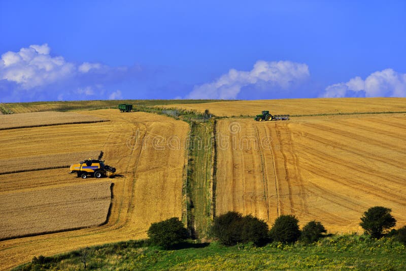 Llanuras Fotos De Stock - Descarga 9,909 Fotos Libres de Derechos