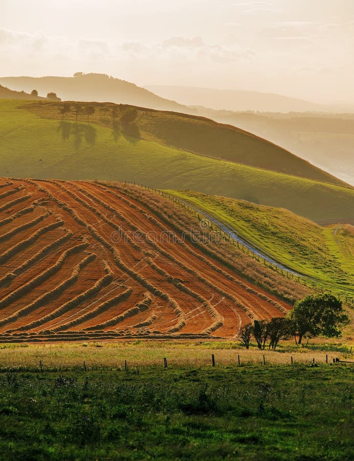 Llanuras Fotos De Stock - Descarga 9,909 Fotos Libres de Derechos